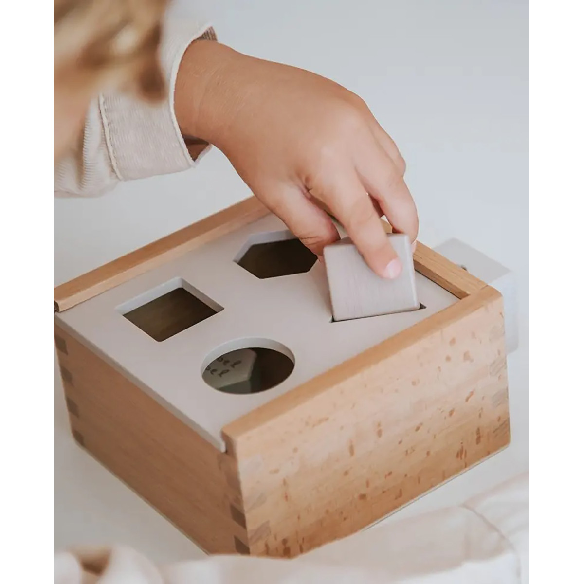 Toy label label from natural wood Sorting box (18+ months) - Alouette ...